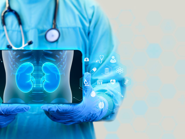 Transplant de rinichi de porc la om, în China. Intervenție de succes în ...