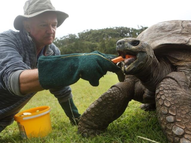 Cel mai bătrân animal din lume e o broască țestoasă de 190 de ani ...