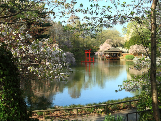 Cele mai frumoase gradini botanice din lume. Atrag milioane de turisti