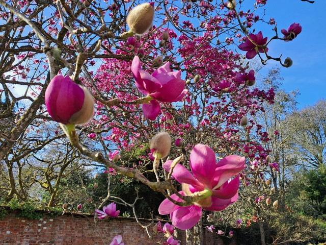 Ce înseamnă echinocțiul de primăvară din 2025 pentru fiecare zodie ...