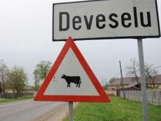 Alarma ProFM& Cine e la Deveselu cu Baselu& Nic Fisic& care a cumparat ...