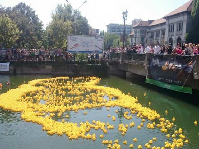 5000 de ratuste au invadat Dambovita& Andrei Gheorghe si Greeg au dat ...