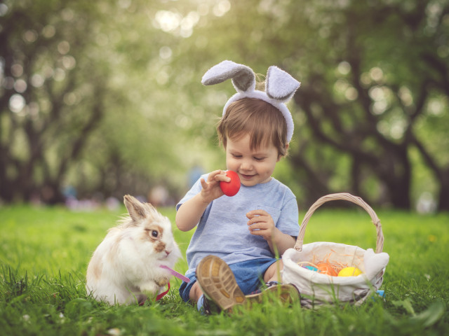 Cum a ajuns Iepurasul de Paste simbol al acestei sarbatori ...