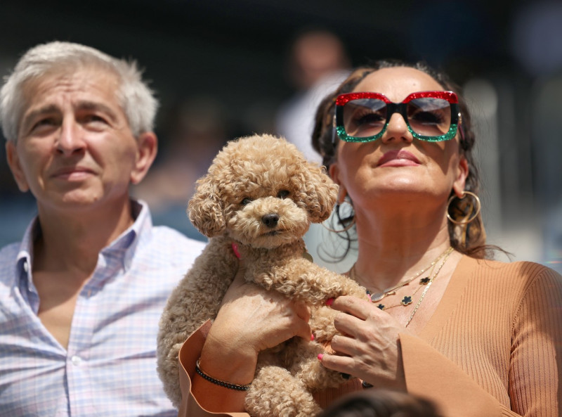 GALERIE FOTO: Surpriza de care a avut parte Bianca Andreescu la meciul ...