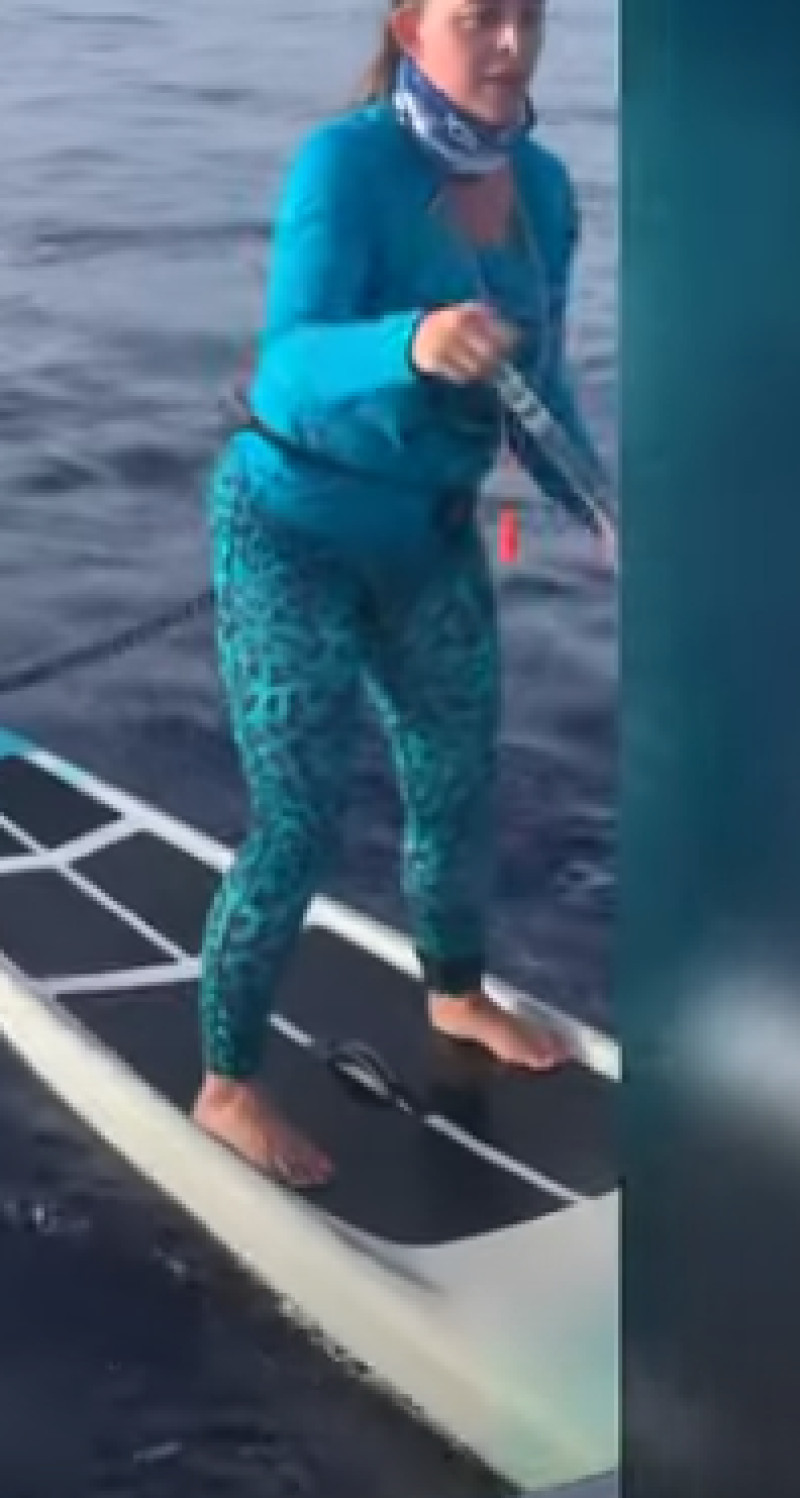 GALERIE FOTO: Teribil! Un rechin-ciocan a apărut de nicăieri: ”E mare ...