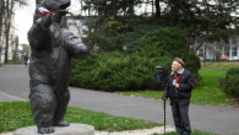 Povestea lui Wojtek: ursul „soldat” al armatei poloneze în Al Doilea ...